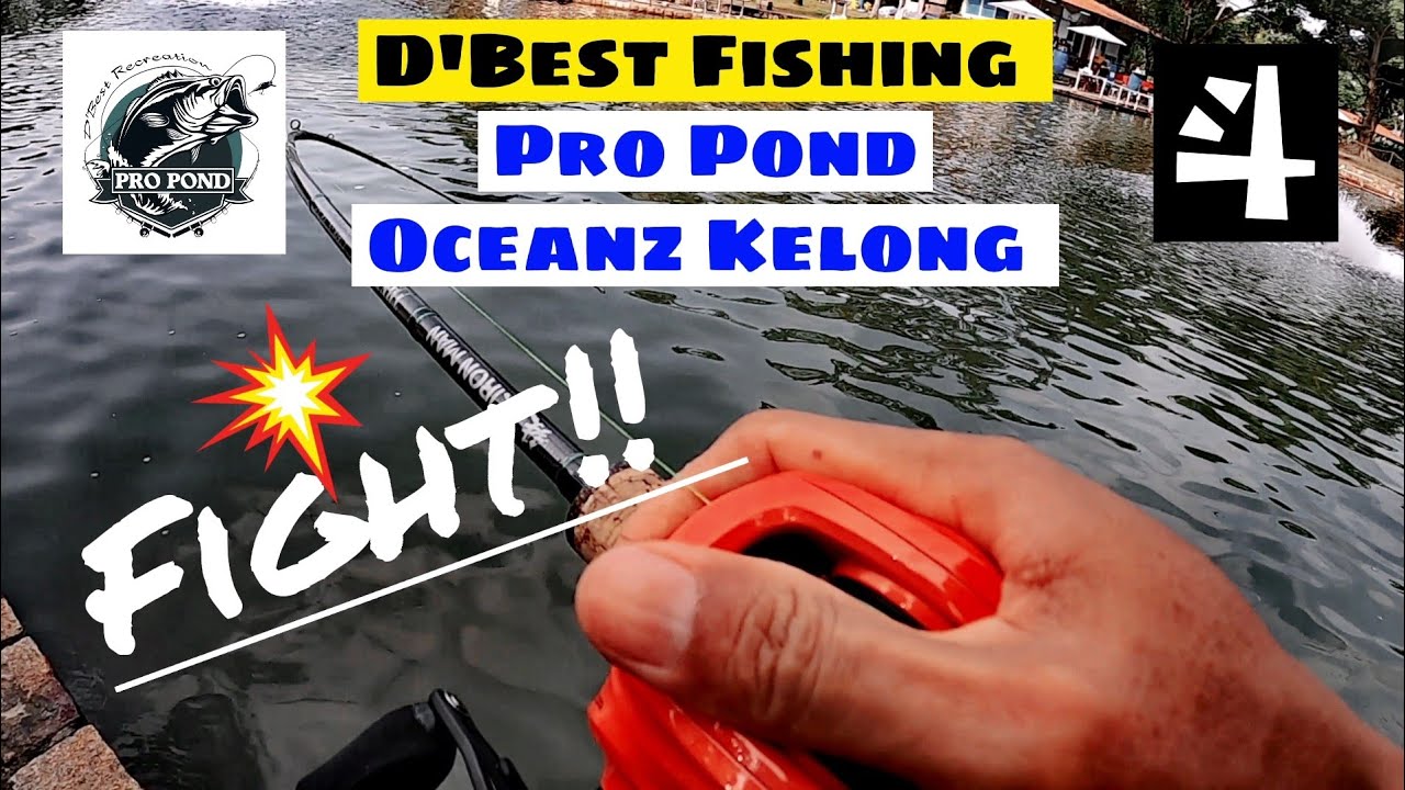 EP20嫌鱼塘太大？没关系，这里还有小的。Singapore D'best Fishing Pro Pond. - YouTube