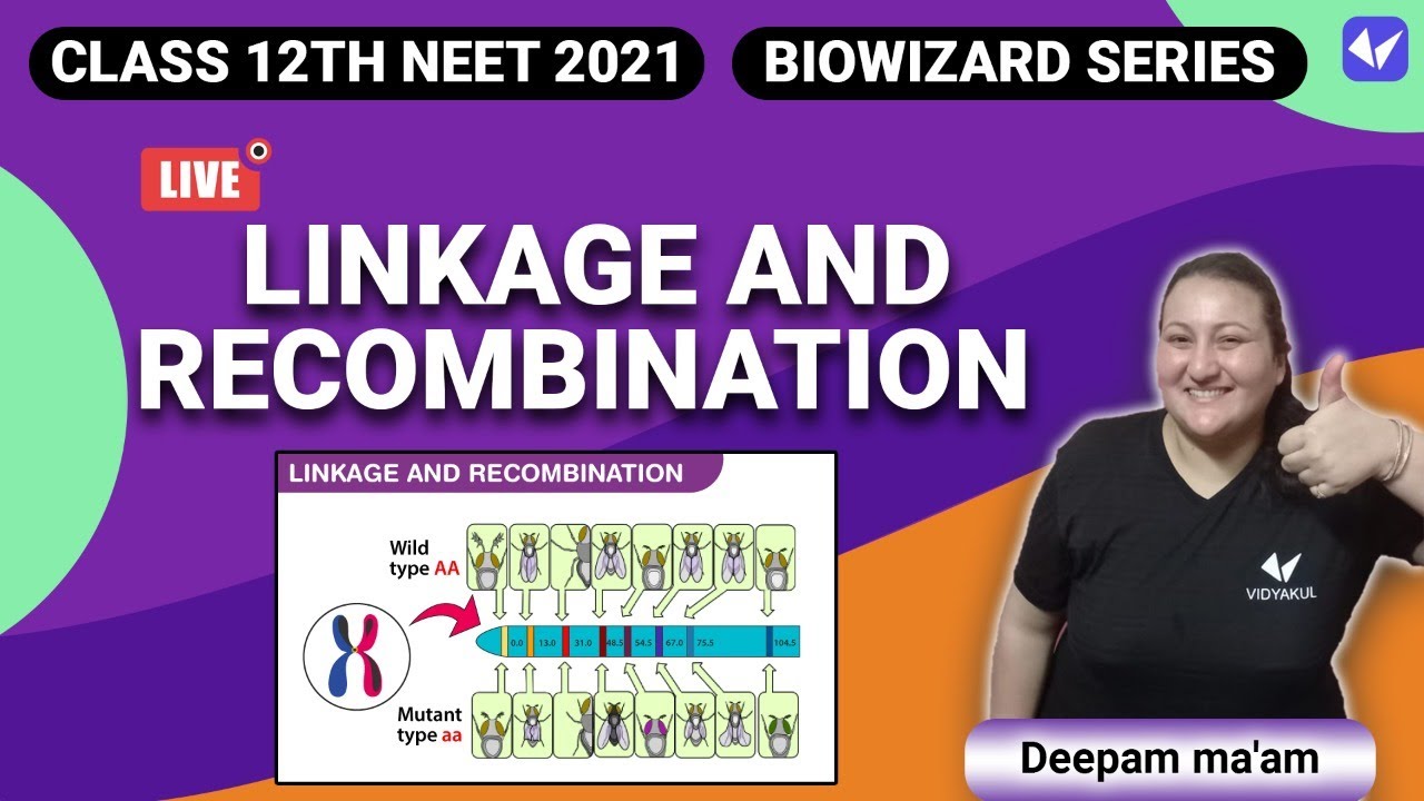 Linkage and Recombination | Class 12 biology | NEET-2021 | Deepam mam ...