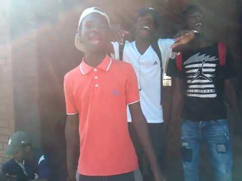 Alex Royal tigers - YouTube