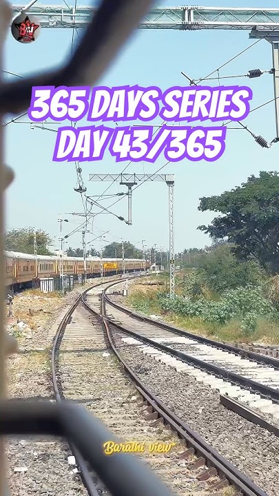 365 days series | Day 43/365 | #365daysseries #365dayschallenge #bangalore #banglavlog #shorts ...