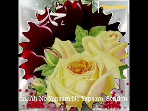 NEJLA DUPLJAK - GÜL AHMED'İM