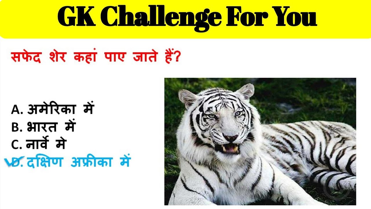 Important GK Questions and answer || Gk Question And Answer | Top 10 Gk ...