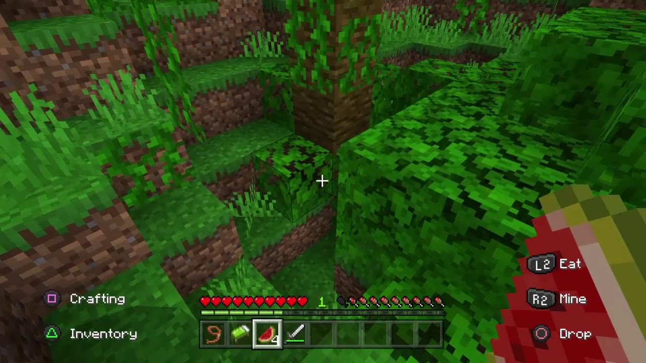 Minecraft new world survival - YouTube