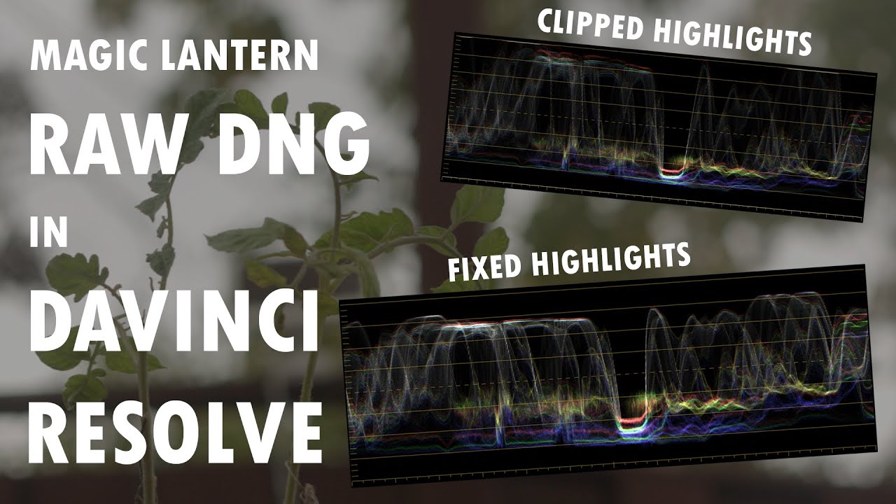 Magic Lantern RAW to DNG in Davinci Resolve | Canon EOS 650D/t4i - YouTube