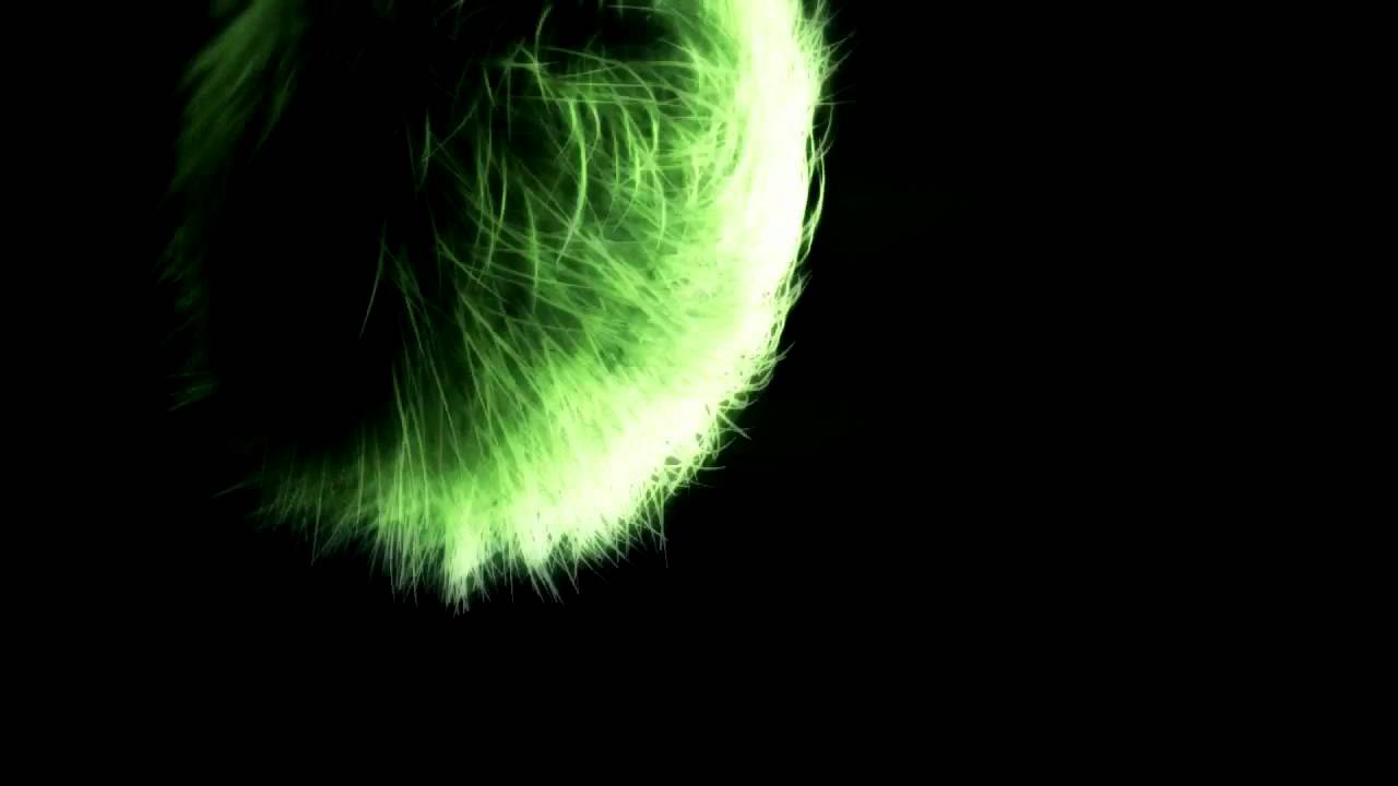 C4D | Hair | Tutorial? - YouTube