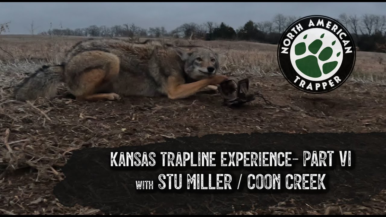 KANSAS TRAPLINE ADVENTURE #6 ~ w/ Stu Miller of Coon Creek Outdoors ...