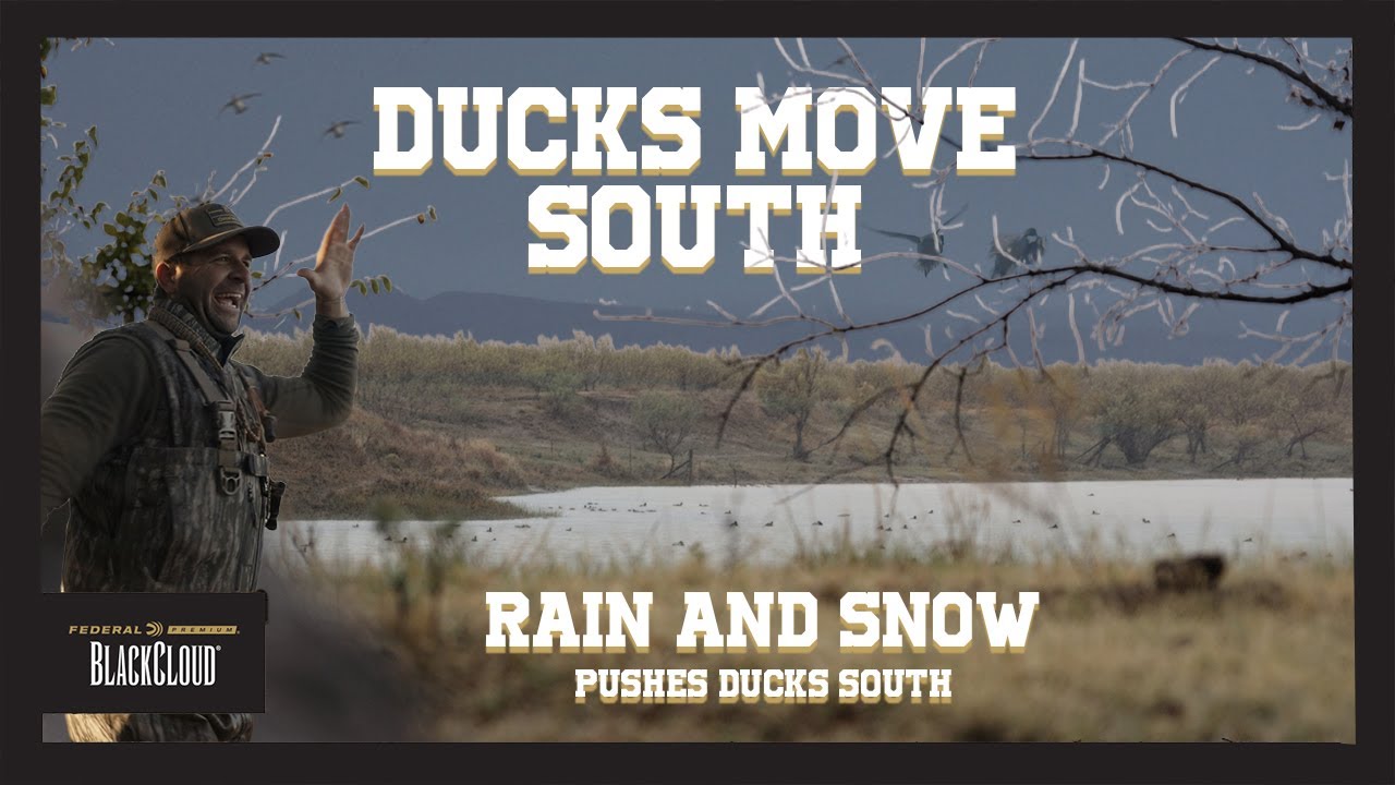 ICE and SNOW Push Ducks South | Duck Hunting Oklahoma | Black Cloud ...