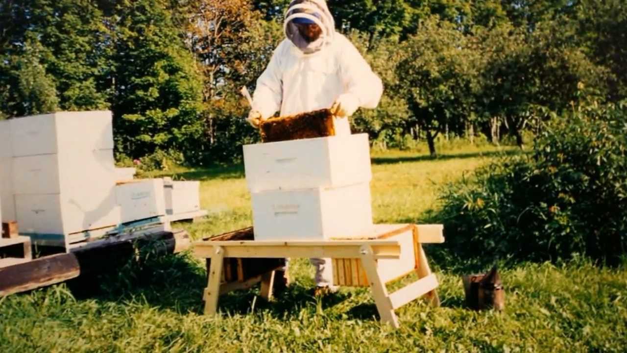 Build a BeeMate Beekeeping Work Bench - YouTube