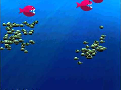 Predators attacking their prey - YouTube