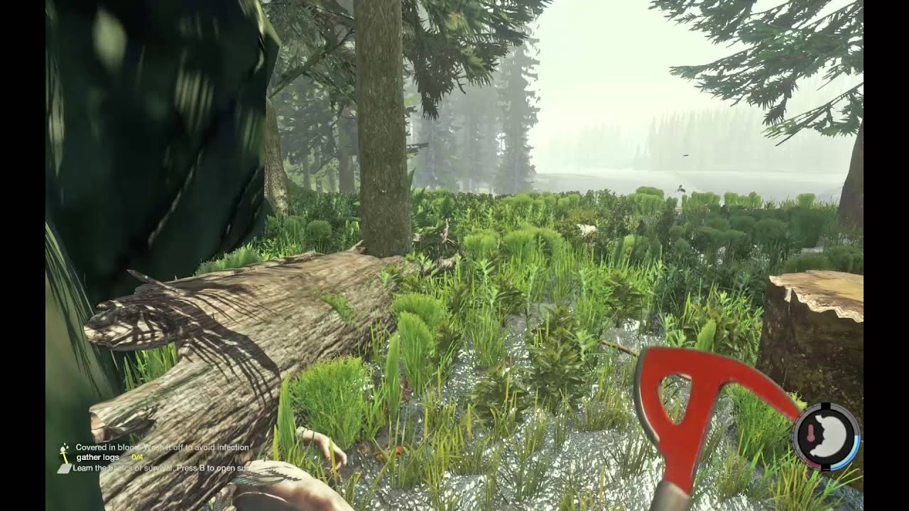The Forest Alpha 0.01 #1 - FREUNDEEE!!! - YouTube