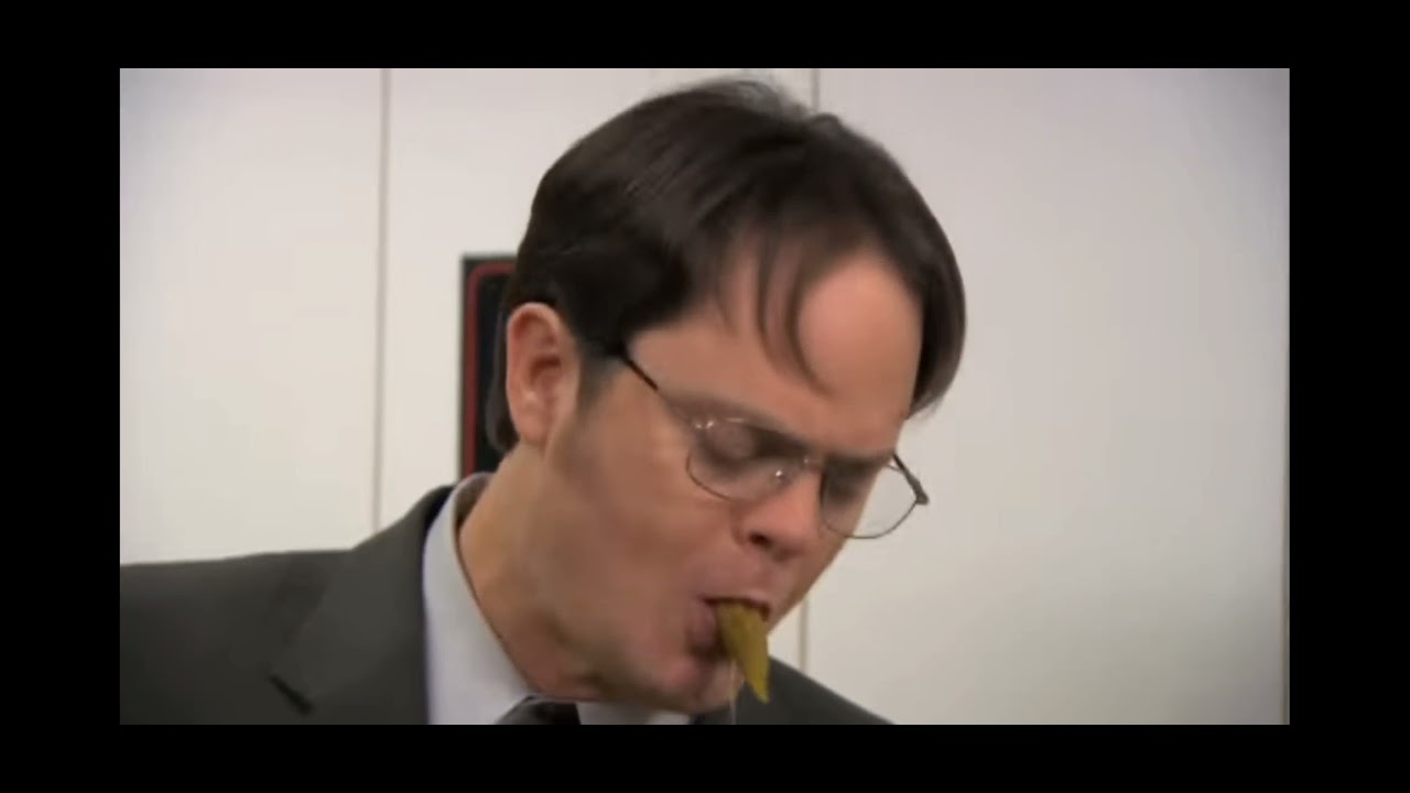 Dwight eats his survival shelter food. The office. - YouTube