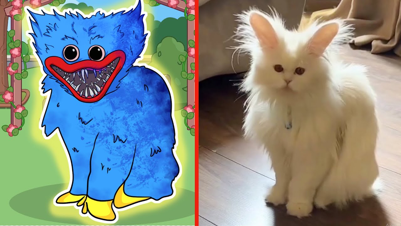 Smiling Critters love YOU 😂 Best Funniest Animal Videos Of The Week ...