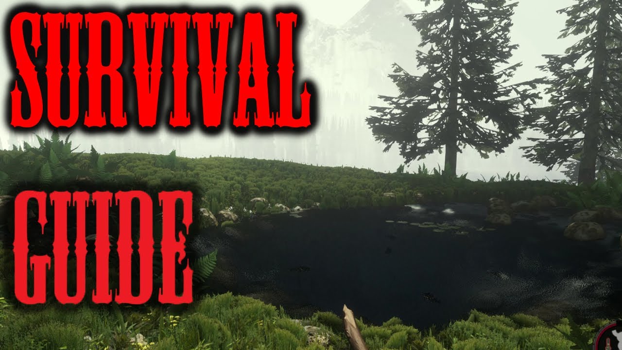The Forest: SURVIVAL GUIDE - YouTube