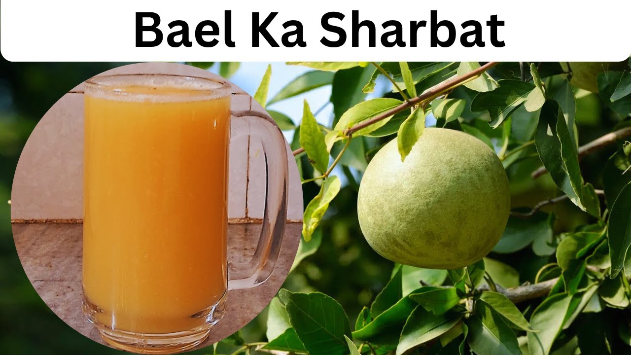 Bael Ka Sharbat | Foody Woody | - YouTube