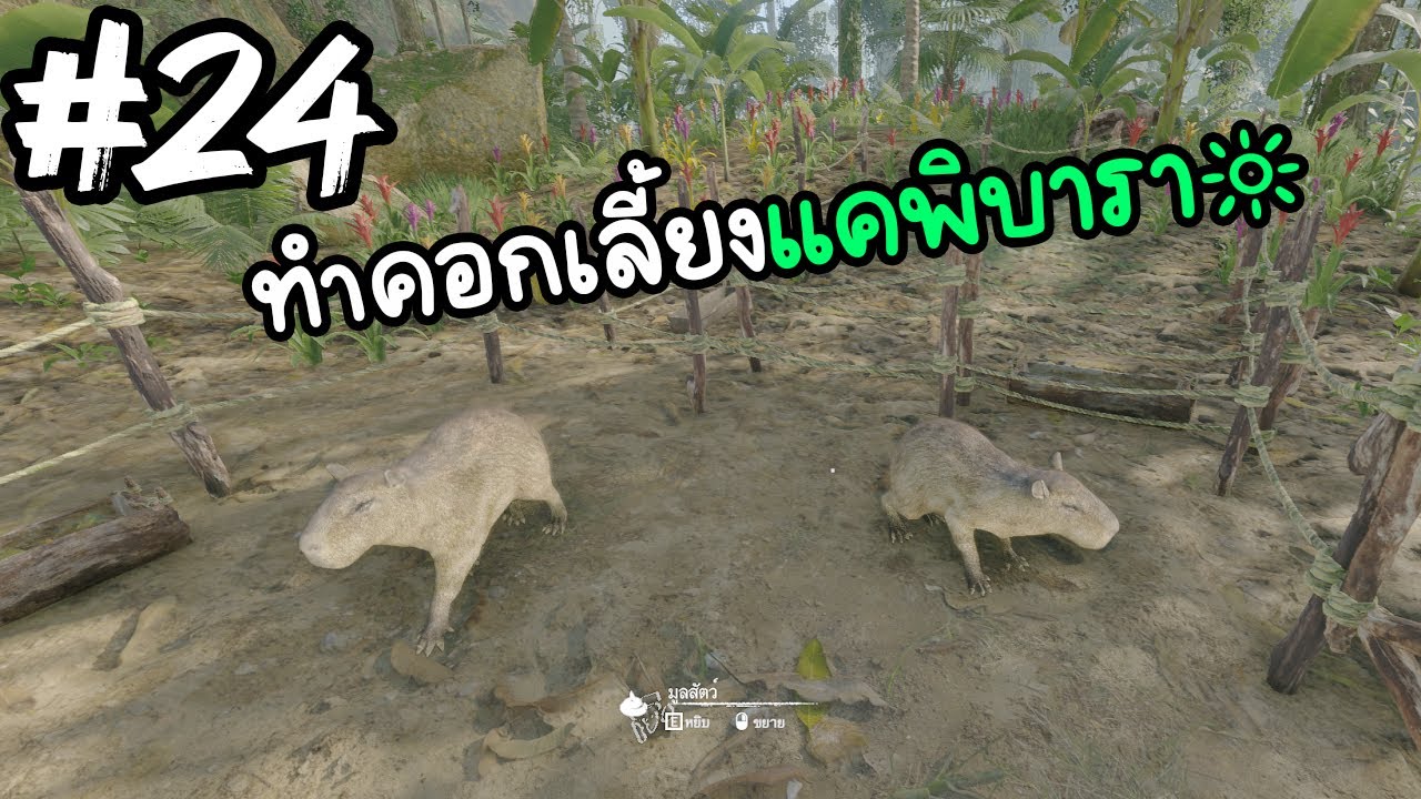 Green Hell #24 ทำคอกเลี้ยงสัตว์แคพิบารา - YouTube