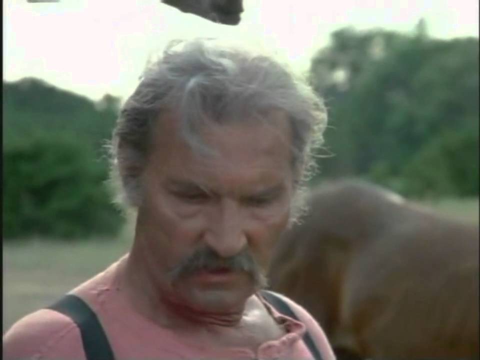 Red Headed Stranger Western 1986 Willie Nelson, Morgan Fairchild & R G ...