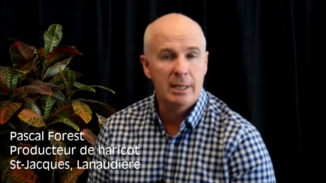 Fiers de cultiver vos légumes - Pascal Forest - Phase 1 - YouTube