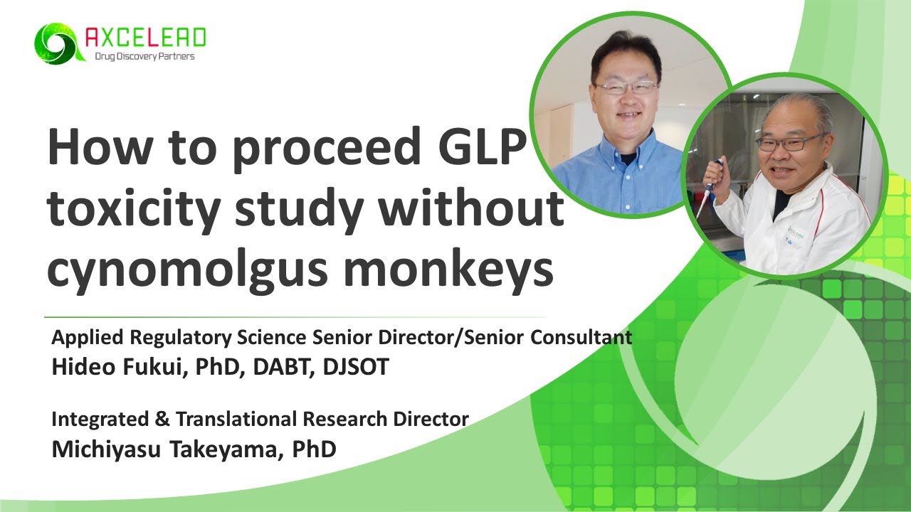 How to proceed GLP toxicity study without cynomolgus monkeys - YouTube