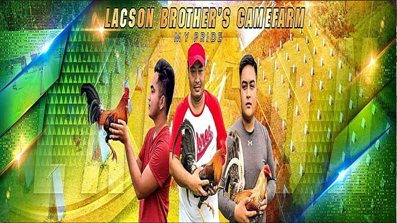 Lets Visit The Farm Of Lacson Brother's Farm - YouTube