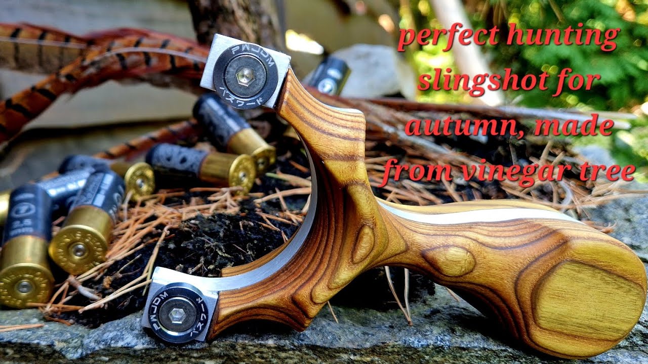 perfect hunting slingshot for autumn, made from vinegar tree, build a ...