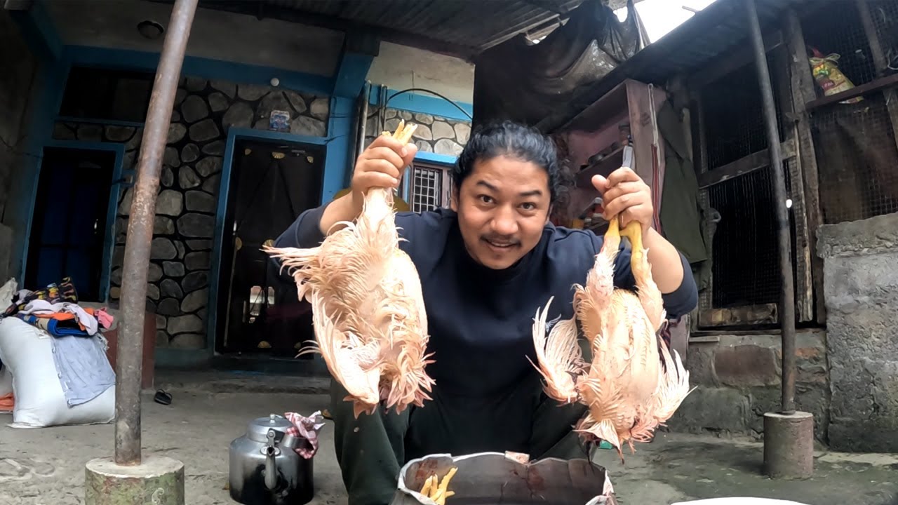 Ghar Ma Paleko Kukhura, Harvesting Time @HimaliVlogs - YouTube