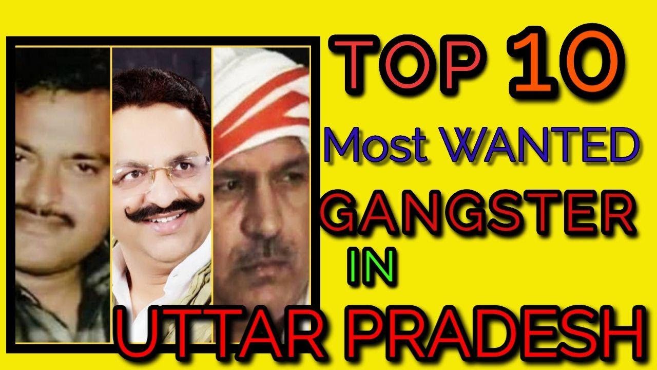 Most wanted Gangster in UP|UP Mafia List: टॉप माफिया-अपराधियों की पूरी ...