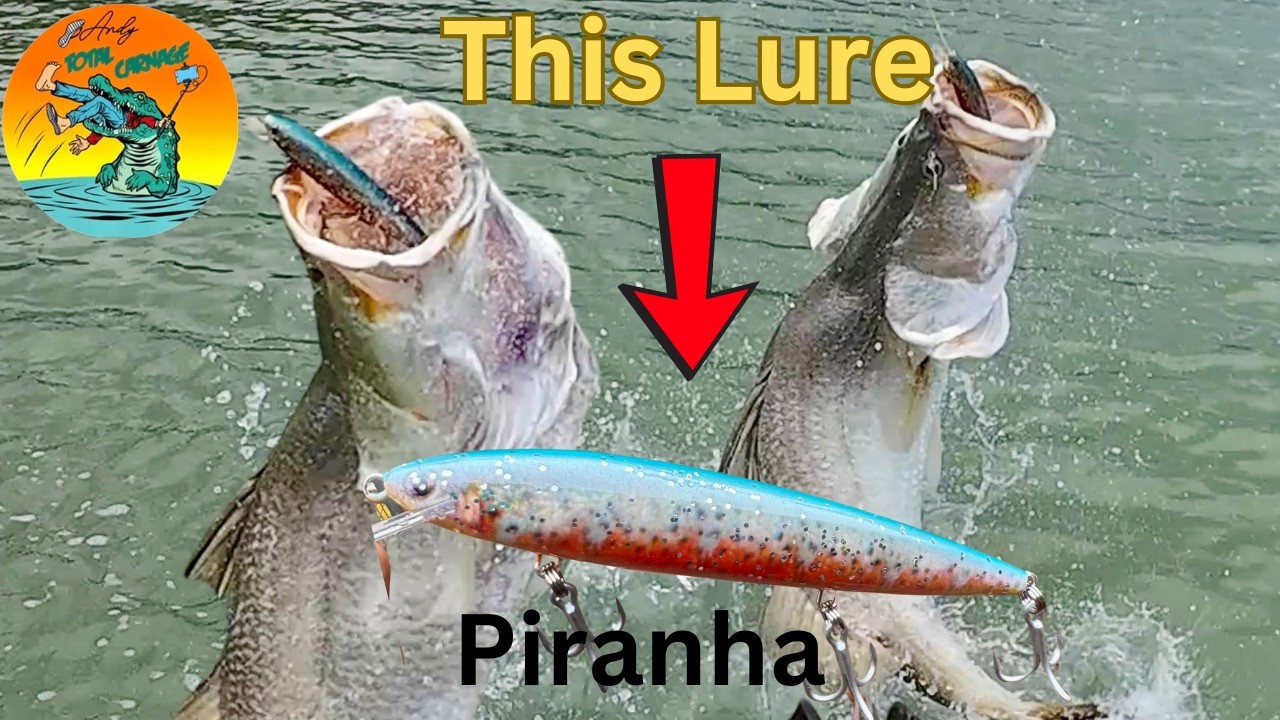 FINNIS RIVER BARRA ON THIS LURE.. NORTHERN TERRITORY - YouTube