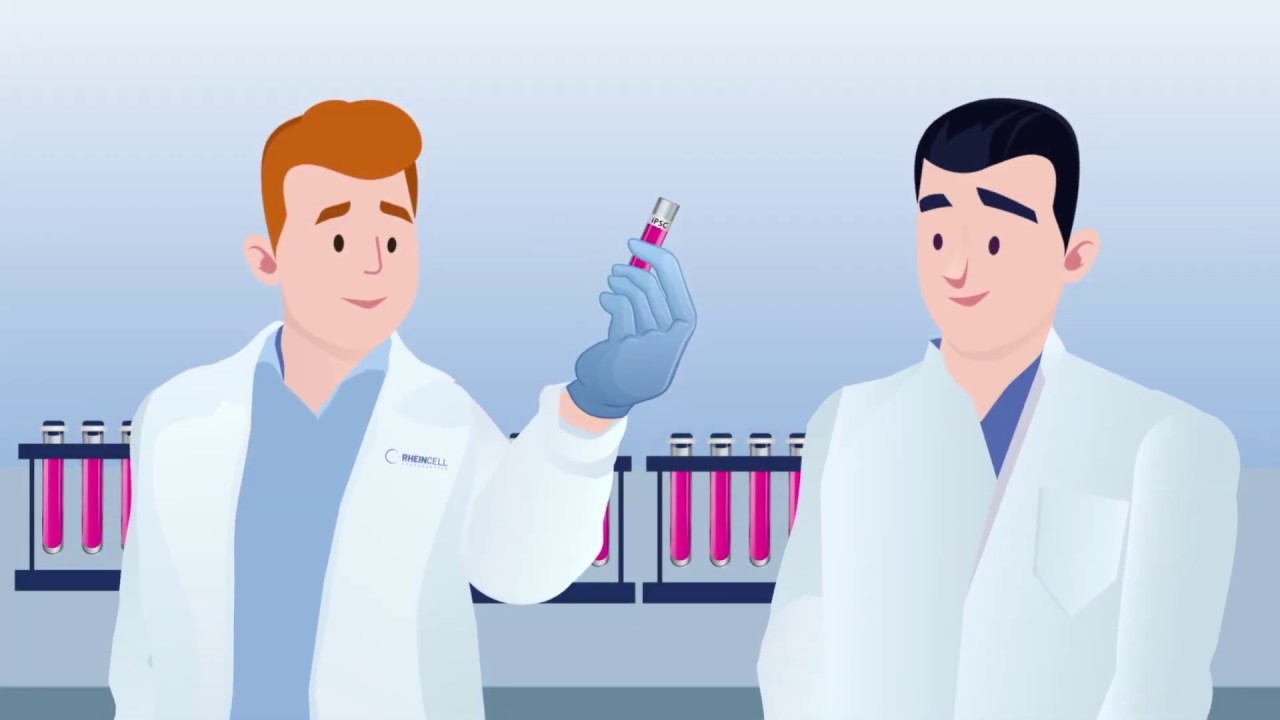 The RheinCell approach to immune compatible iPSCs - YouTube