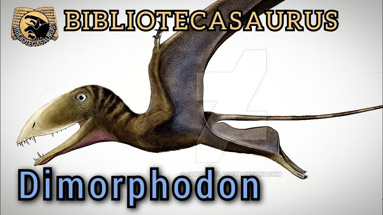 Dimorphodon , Que fué??, Que era??, BIBLIOTECASAURUS📜. - YouTube