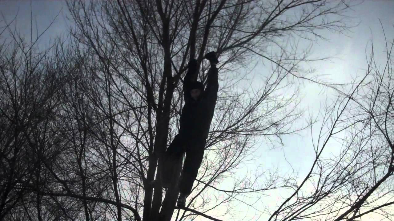 Best of Epic Tree Fails - YouTube