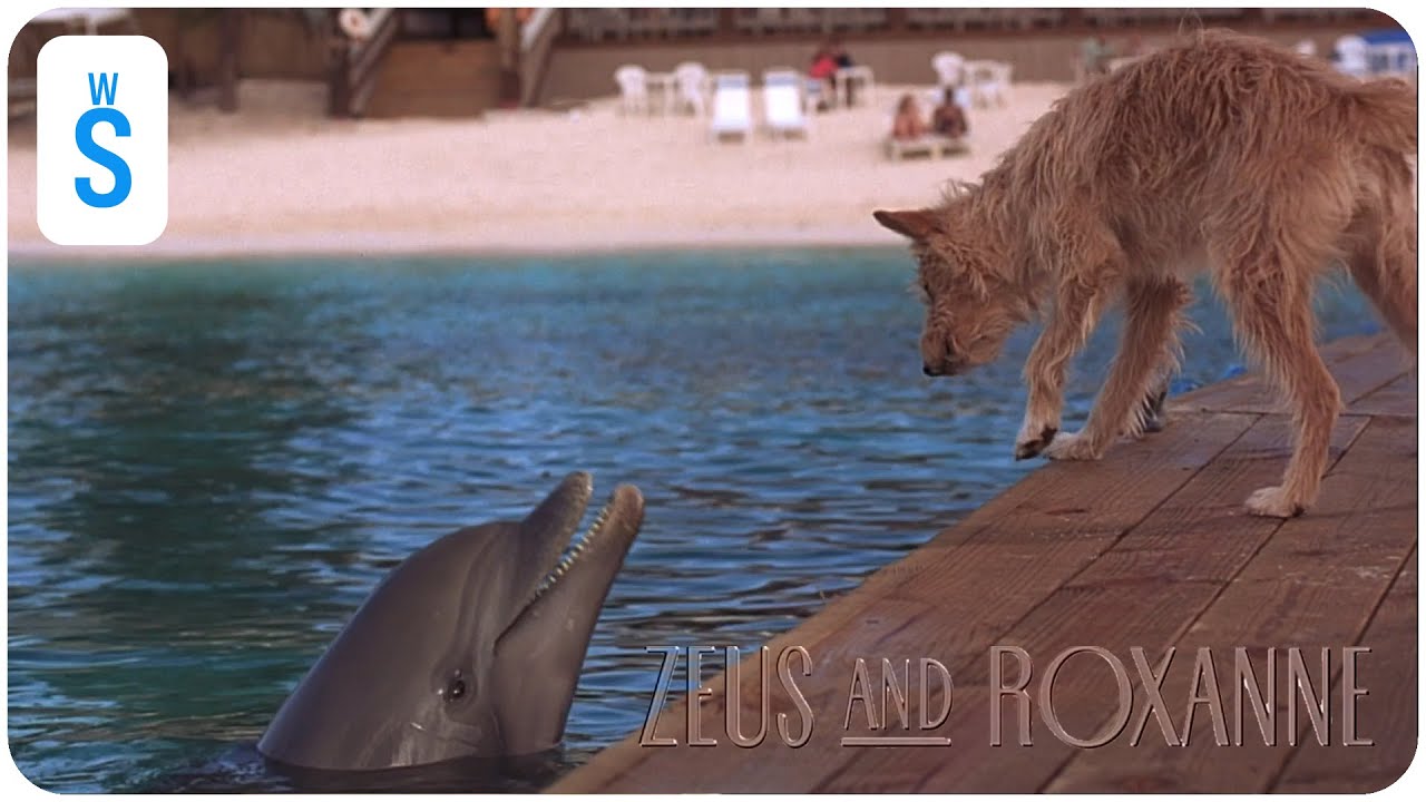 Zeus and Roxanne (1997) | Scene: Terry decides to move to another town ...