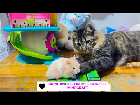 HAMSTER vs CAT #pets #minecraft #hamsters #cat - YouTube