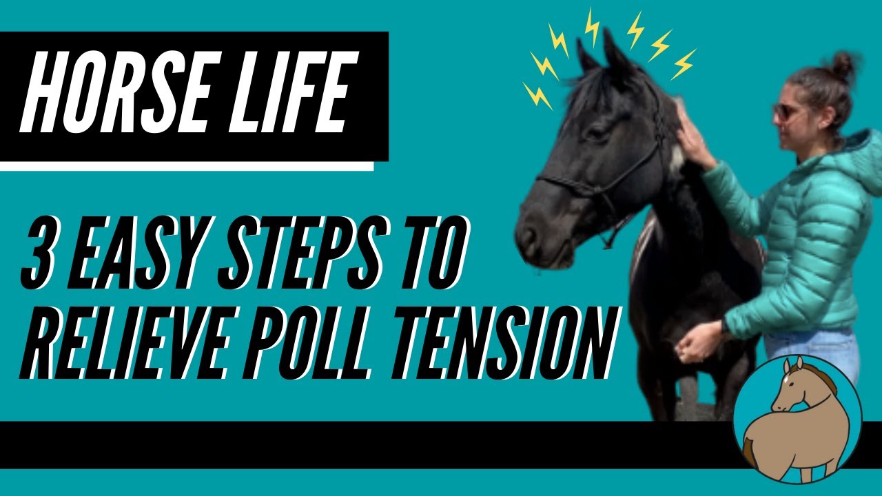 3 Easy Steps To Relieve Poll Tension - Horse Life - Episode 5 - YouTube
