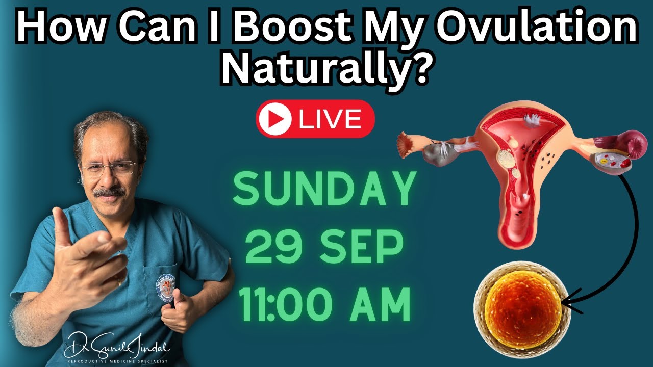 How Can I Boost My Ovulation Naturally? Live - YouTube