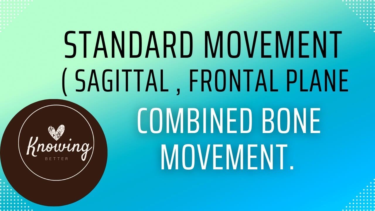standard movement (sagittal, frontal plane), combined bone movement ...