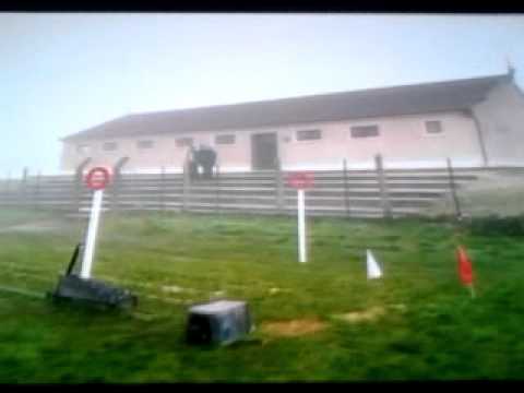 Cruelty 2 rabbits! Father Ted - YouTube