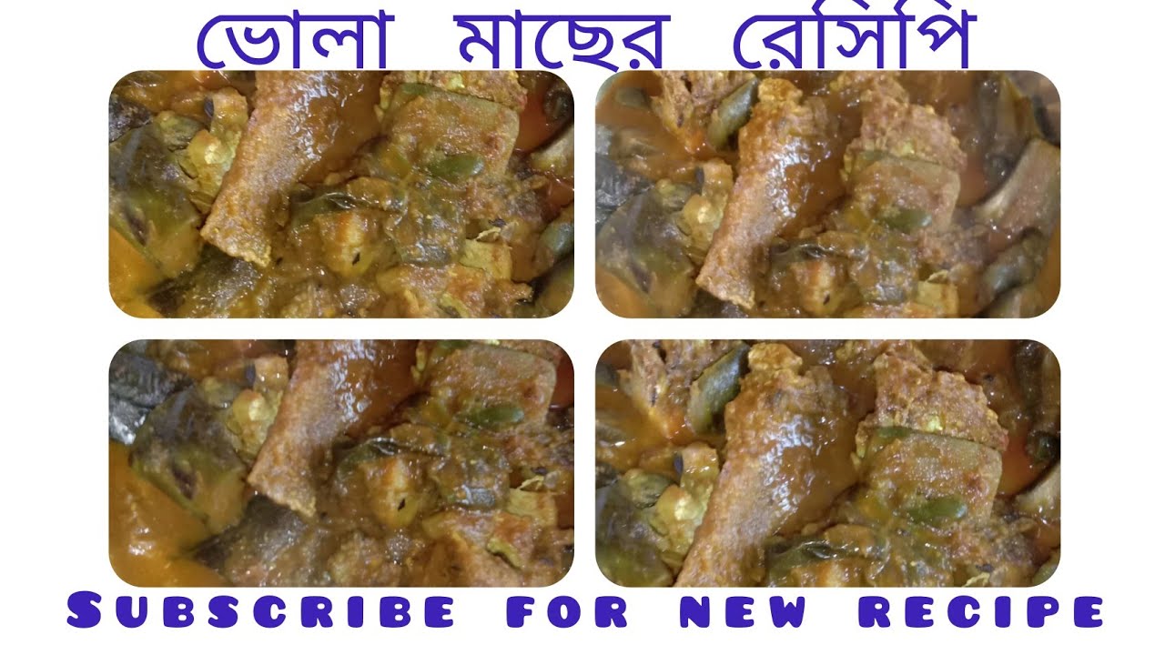 How to make vola fish।। ভোলা মাছের রেসিপি ইন বেঙ্গলি। ভোলা মাছ ...