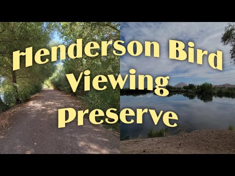 Henderson Bird Viewing Preserve - YouTube