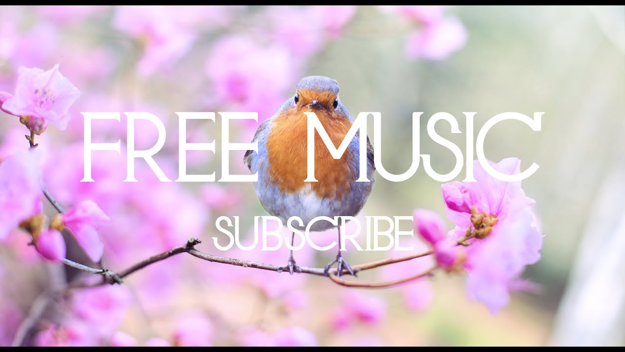 Spring – Ikson (No Copyright Music) - YouTube