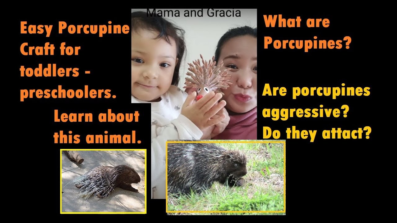 How to make easy porcupine Craft for toddlers?? Make your time fun ...