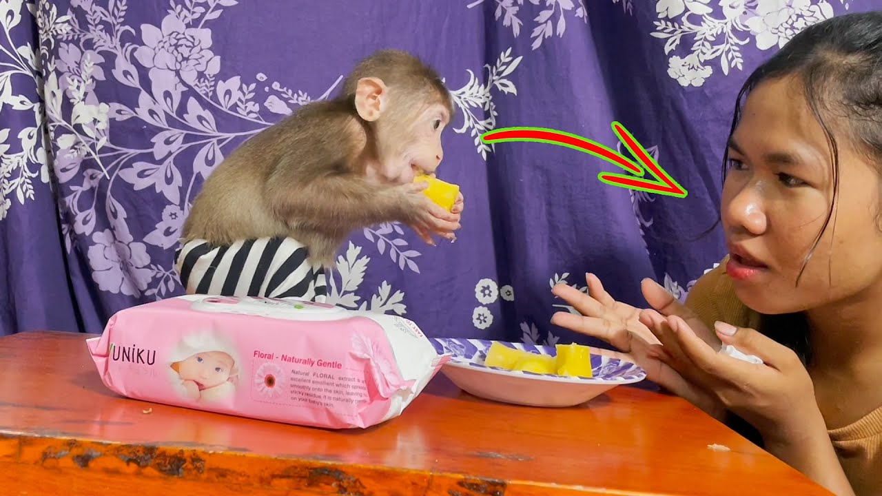 Wow Spare Mom Some Cake Please Give MOm Some Cake - YouTube