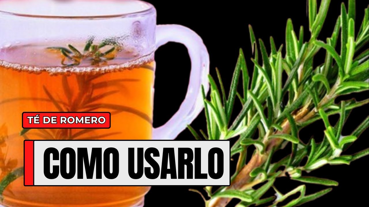 Enfermedades Que Cura el Té de Romero (Poderosos Beneficios) - YouTube