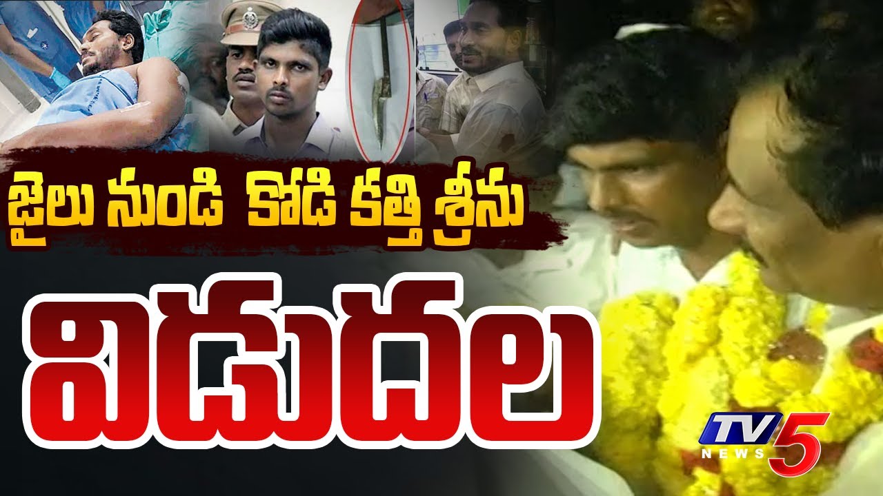 Jagan Kodi Kathi Case Srinu Released from Jail on Bail | Kodi Kathi ...
