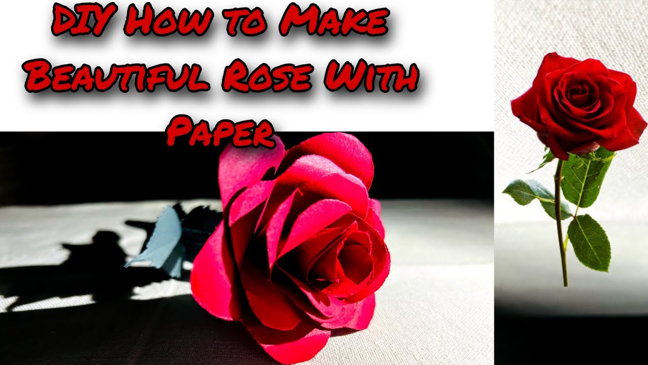 DIY | How to make a beautiful paper rose 🌹 | #rose #flowers #art - YouTube