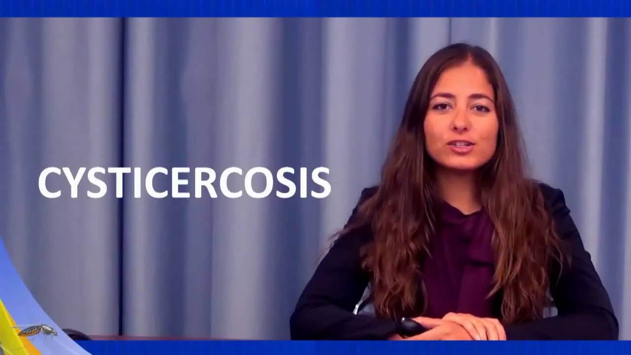 Introduction Cysticercosis - YouTube