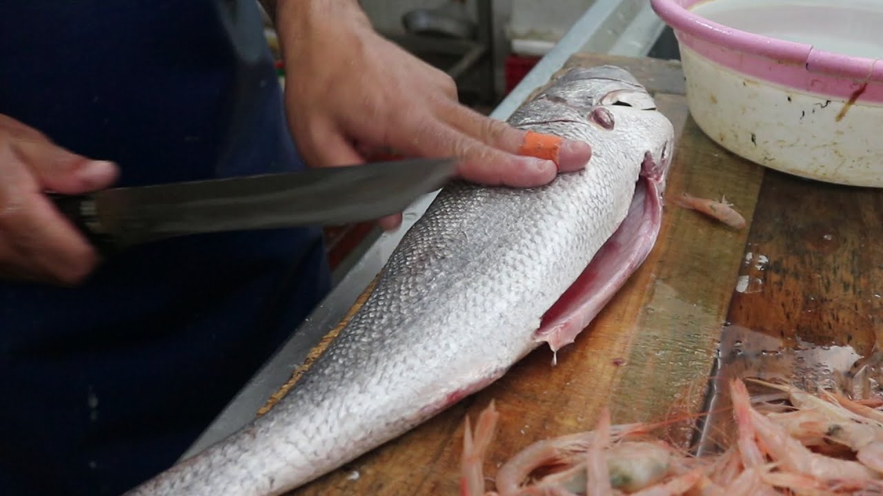 HOW TO : MEAGRE Fish Cleaning and Cutting Skills - YouTube