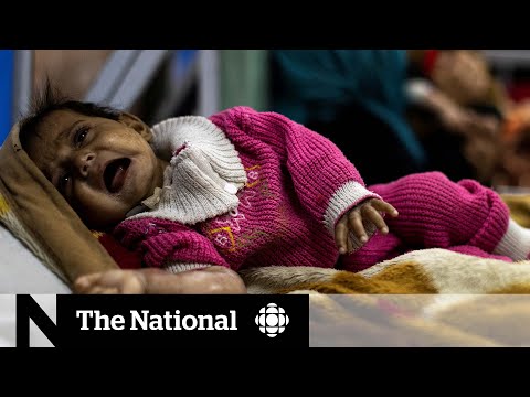 23 million Afghans live in acute hunger: UN report