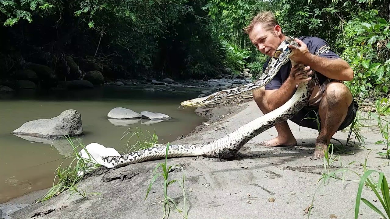 WOLDS BIGGEST SNAKES! Snake Man 🐍🐍 - YouTube