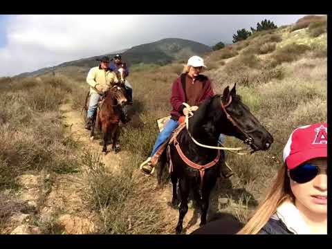 Russ Thompson Stables - YouTube