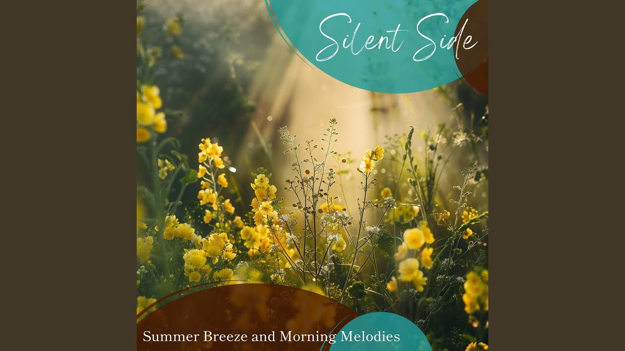 Calm Morning Awakening - YouTube